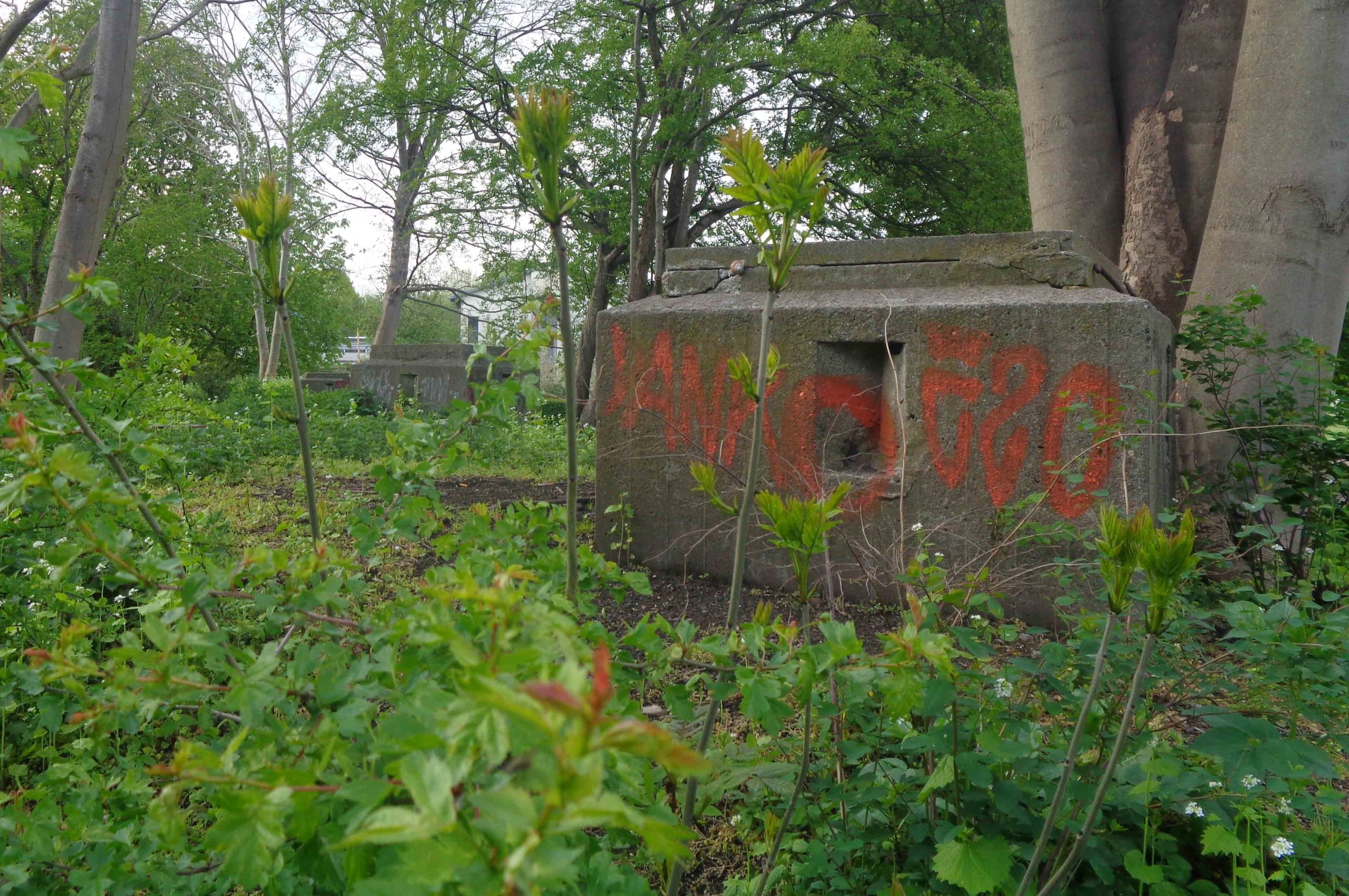 Denmark and World War II: Thoughts on an anniversary