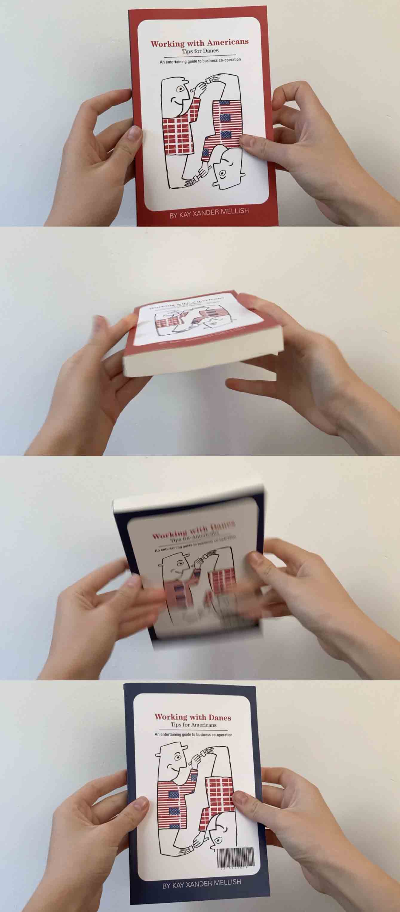 How To Live In Denmark Book - Howtoliveindenmark.com