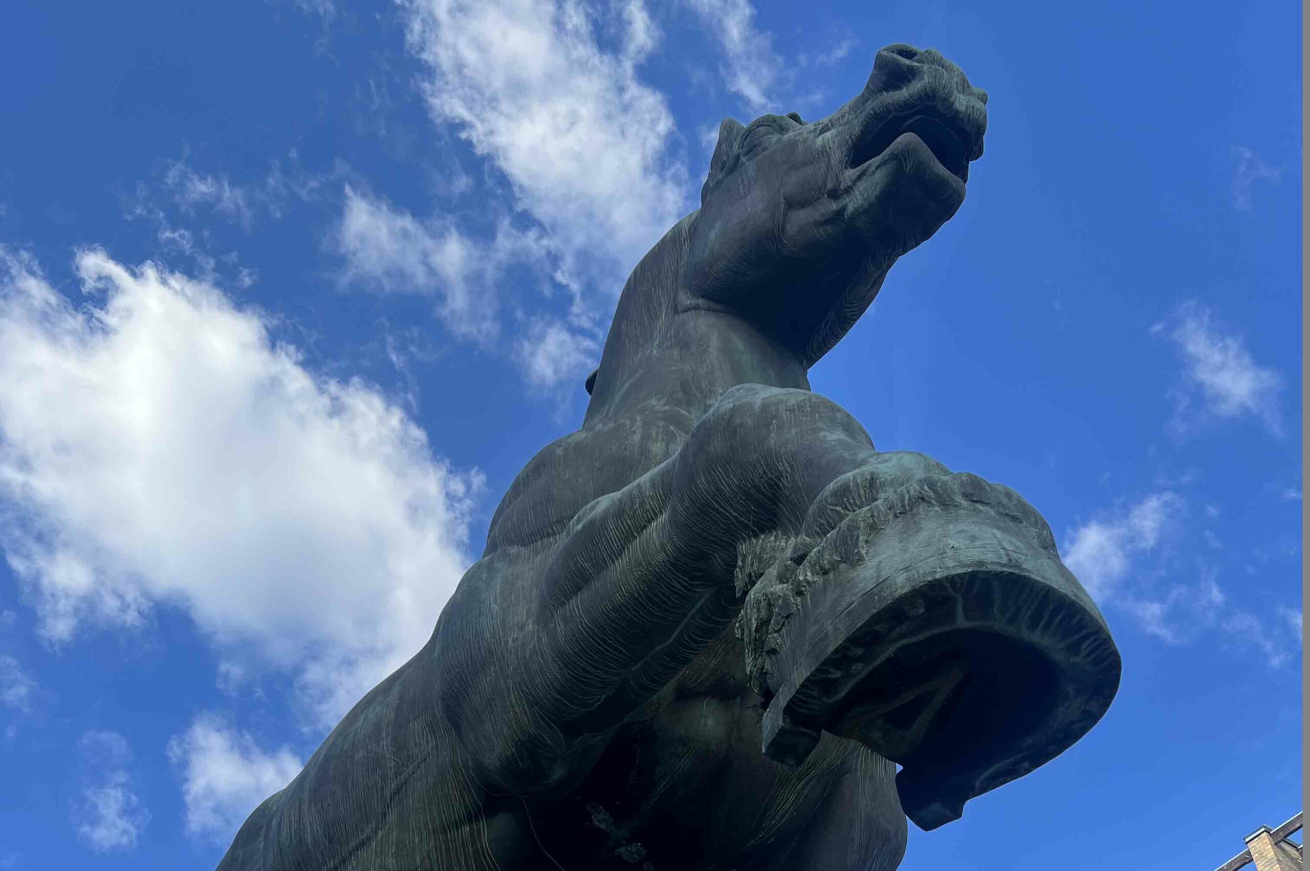 Randers is not a joke | HowtoliveinDenmark.com