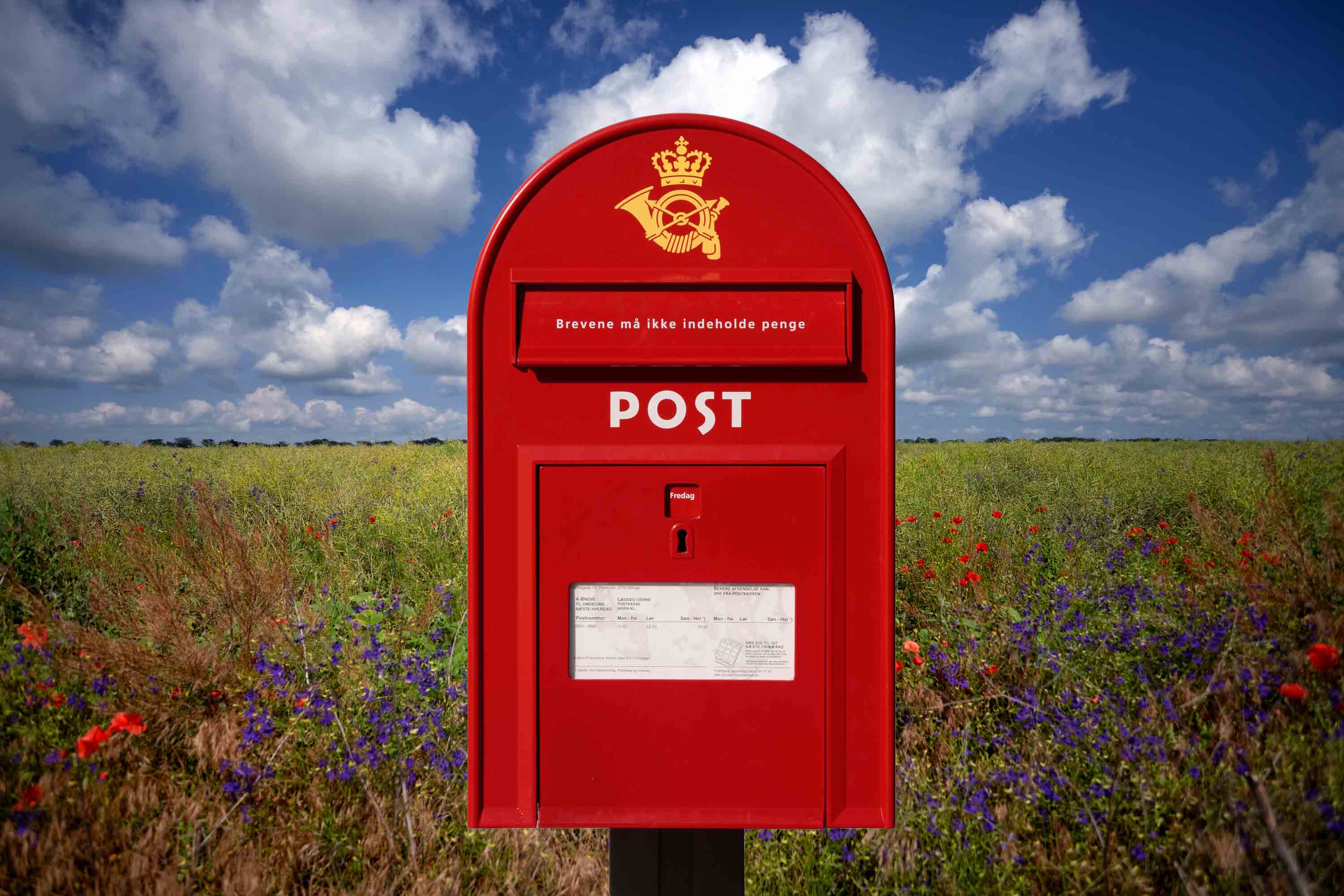 How to Live in Denmark: A Fun Guide for Foreigners in Denmark and their ...